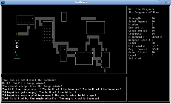 Graphical user interface - NetHack Wiki