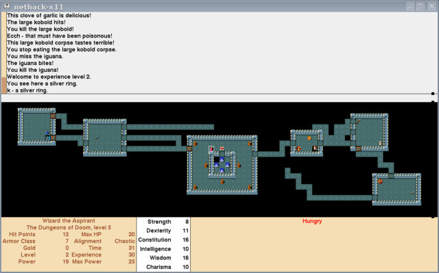 Graphical user interface - NetHack Wiki