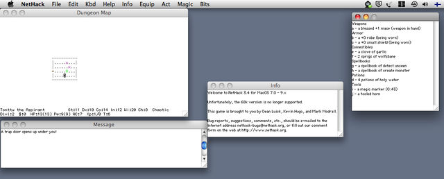 Graphical user interface - NetHack Wiki
