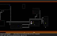 Graphical user interface - NetHack Wiki
