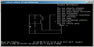 Enlightenment - NetHack Wiki
